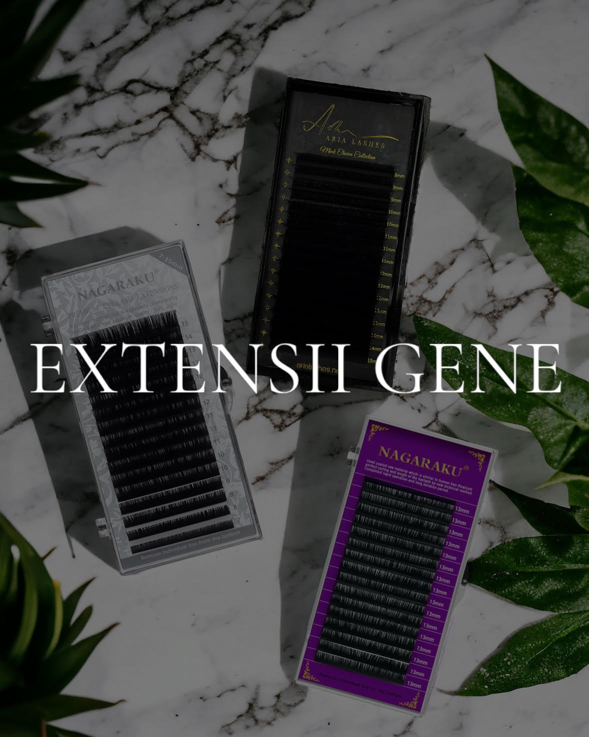 Extensii gene – Aria